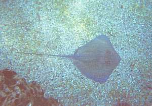 Four Days in Orlando: Day One